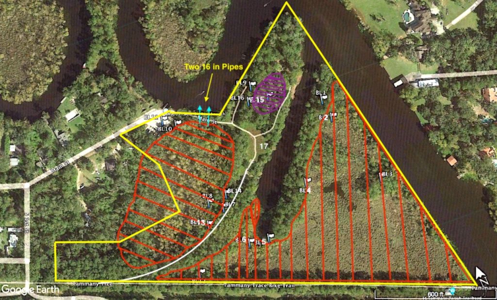Wetland Delineations - Comite Resources