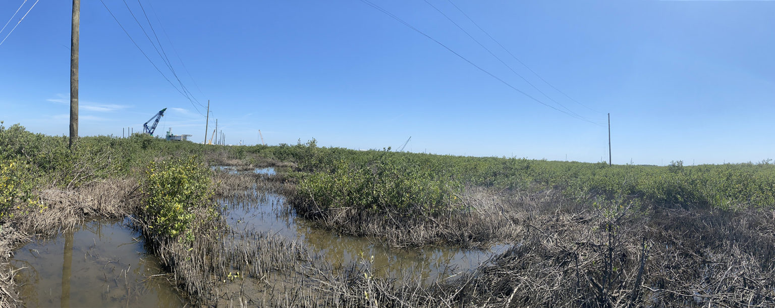 Wetland & Mangrove Damage Assessment - Comite Resources